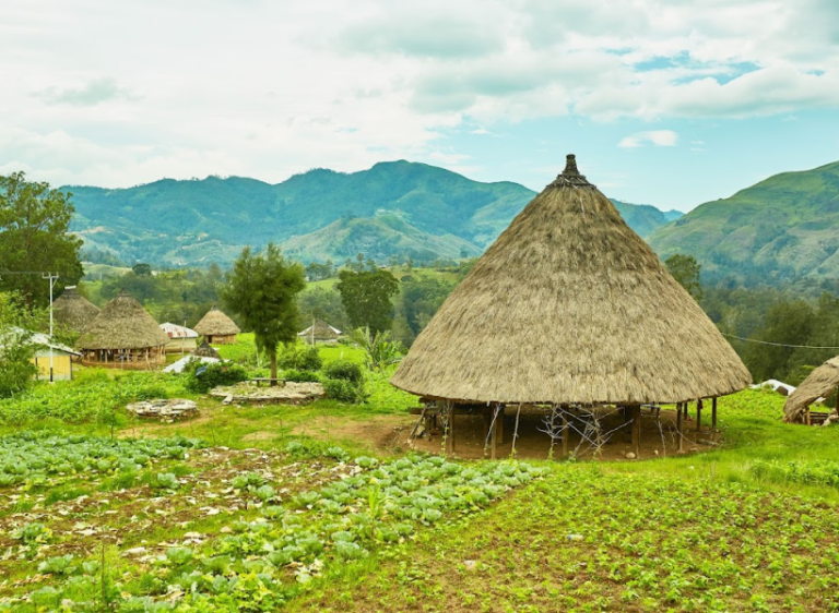Explore Timor-Leste. Discover the Land of Enchantment | Aero Dili